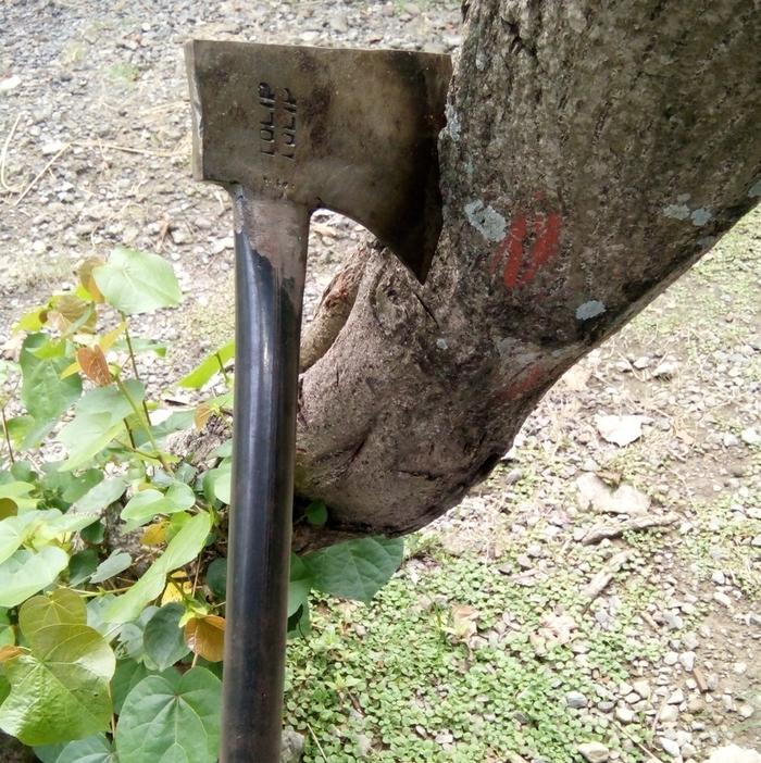 Jual Kapak Pemotong Tulang Sapi - Kampak Besi Cacah Cincang Daging ...