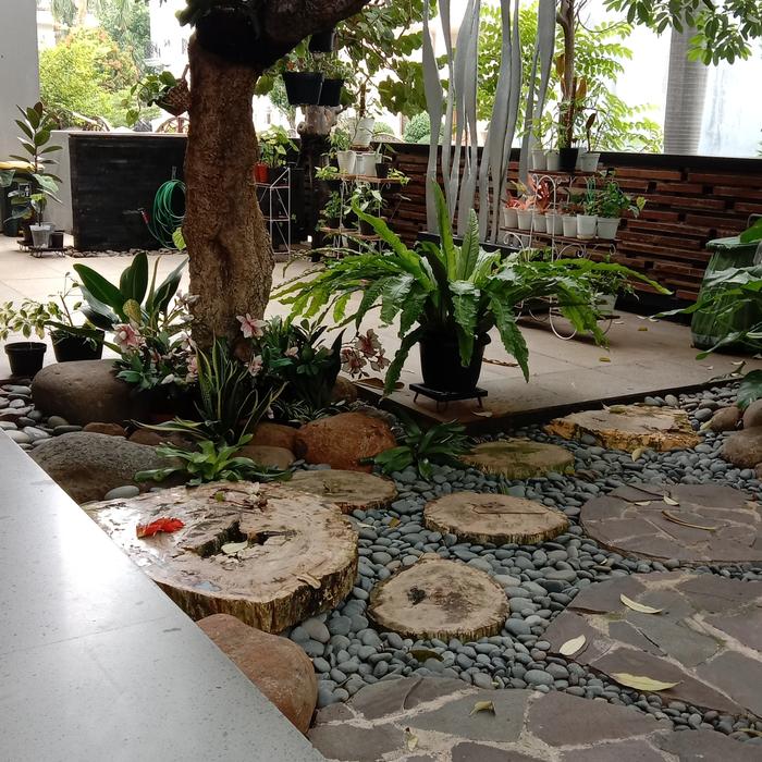 Jual taman batu fosil - Jakarta Utara - landscape green leaf | Tokopedia