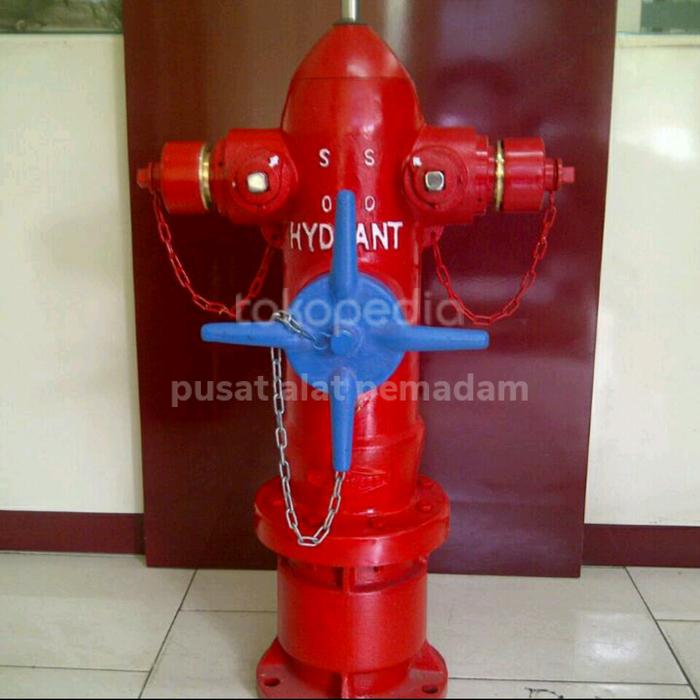 Cara Pemasangan Hydrant Pillar Yang Benar Sesuai Standar, 60% OFF