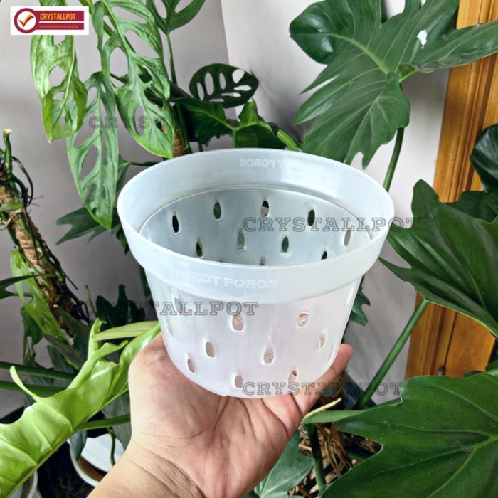 Jual pot bunga tanaman banyak lubang POROS 15 BENING TRANSPARAN - NKT ...