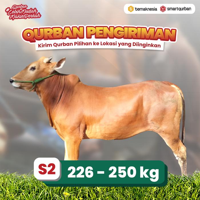 Jual Qurban Sapi Ternaknesia S2 - Kota Surabaya - Smartqurban | Tokopedia