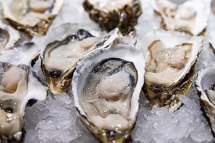 Jual Oyster Kerang Tiram Kerang Laut Hasil Laut Segar Seafood - Jakarta ...