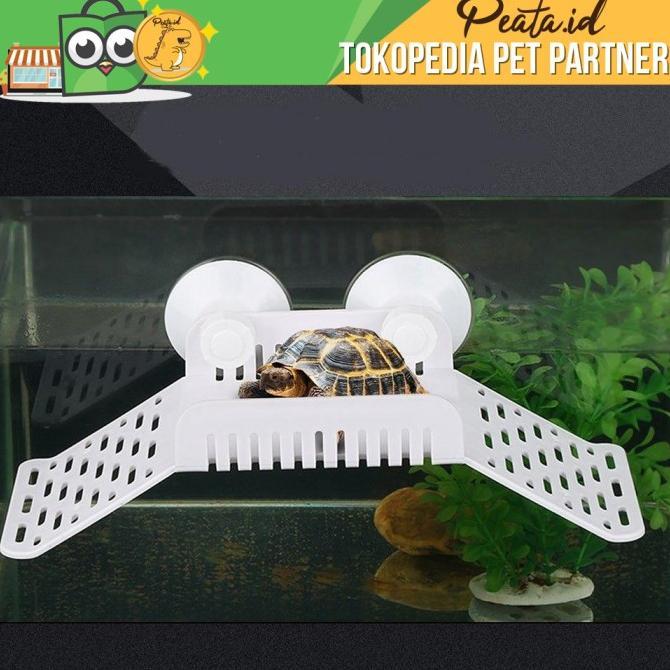 Jual Top Basking Island Turtle Bank Bridge Tempat Berjemur Kura Torto ...