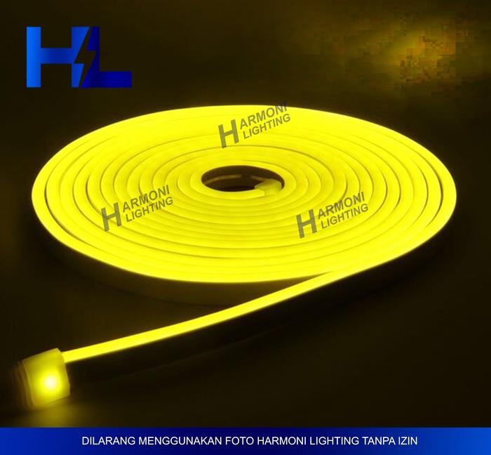 Jual Neon Flex Lampu LED Strip Selang Fleksibel Flexible DC 12V 5 Meter ...