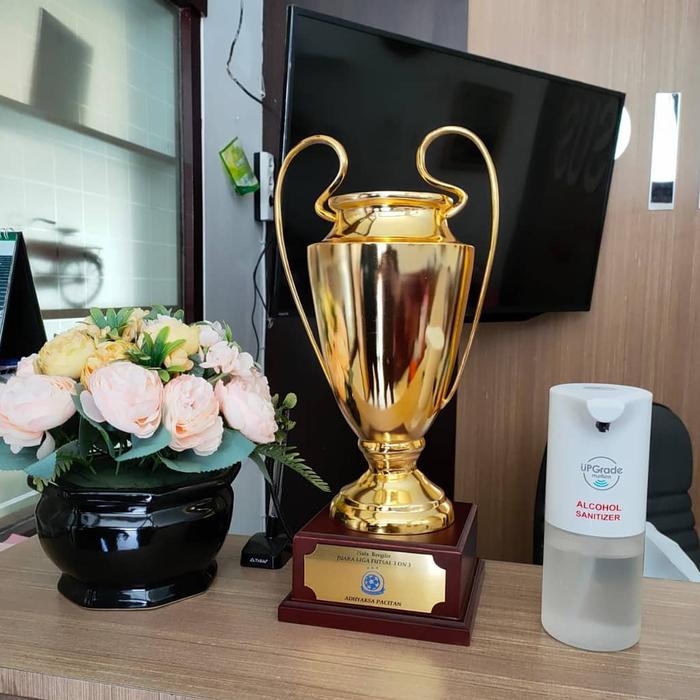 Jual PIALA TIMAH THROPY PIALA CHAMPION CUP SOCCER TINGGI 30 CM - Kota ...