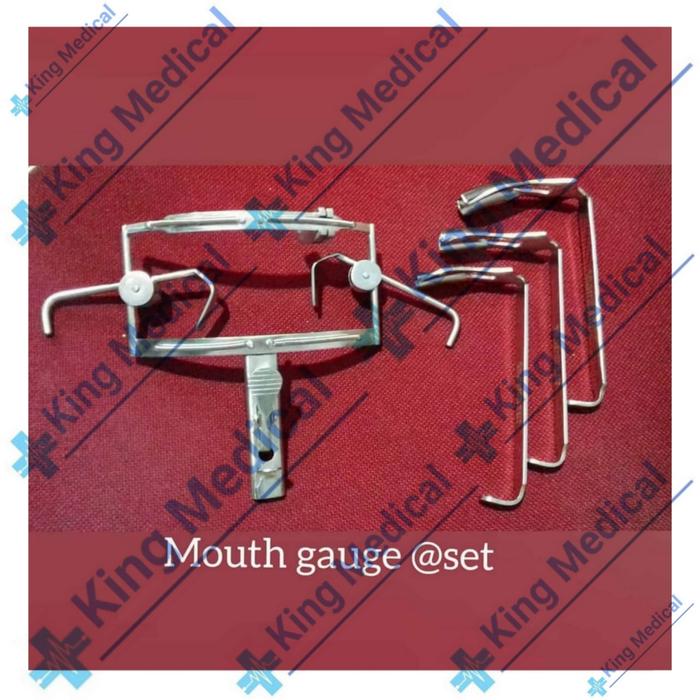 Jual Dingman Mouth Gag Set Premium Quality - Jakarta Barat - King ...