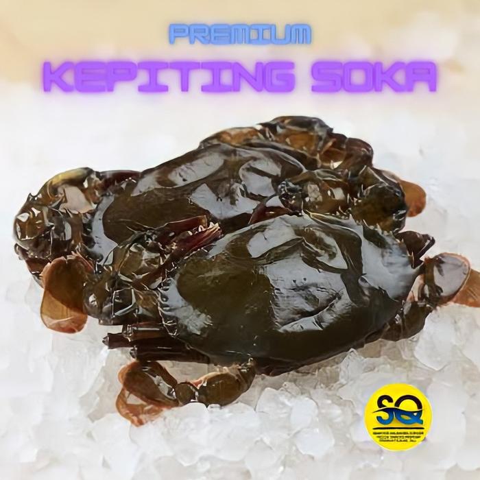 Jual KEPITING SOKA KEPITING GEMBOS FROZEN SEAFOOD SOFT SHELL CRAB ...