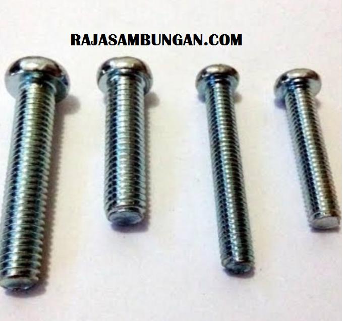 Jual Baut JP Kepala Obeng Plus M6 Panjang 2 cm Screw Galvanis Baut ...