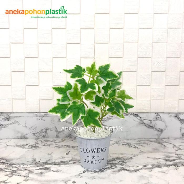 Jual Tanaman Hias Daun Maple Hijau Putih X5 Artificial Pot Kaleng ...