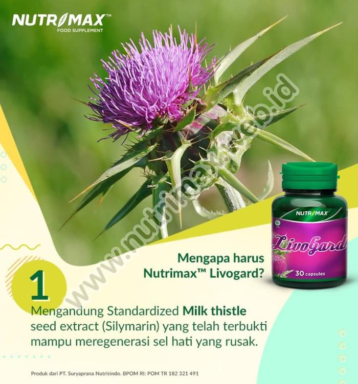 Jual Nutrimax Livogard (liver Care/livo Gard) Obat Hati Hepatitis ...
