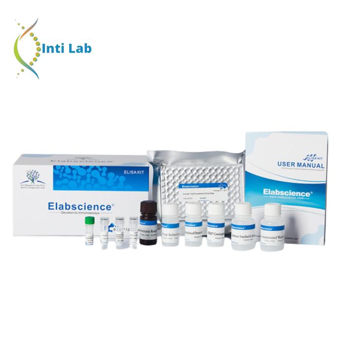 Jual ELABSCIENCE Foot and Mouth Disease Virus NSP Antibodies ELISA Kit - Jakarta Timur - Inti ...
