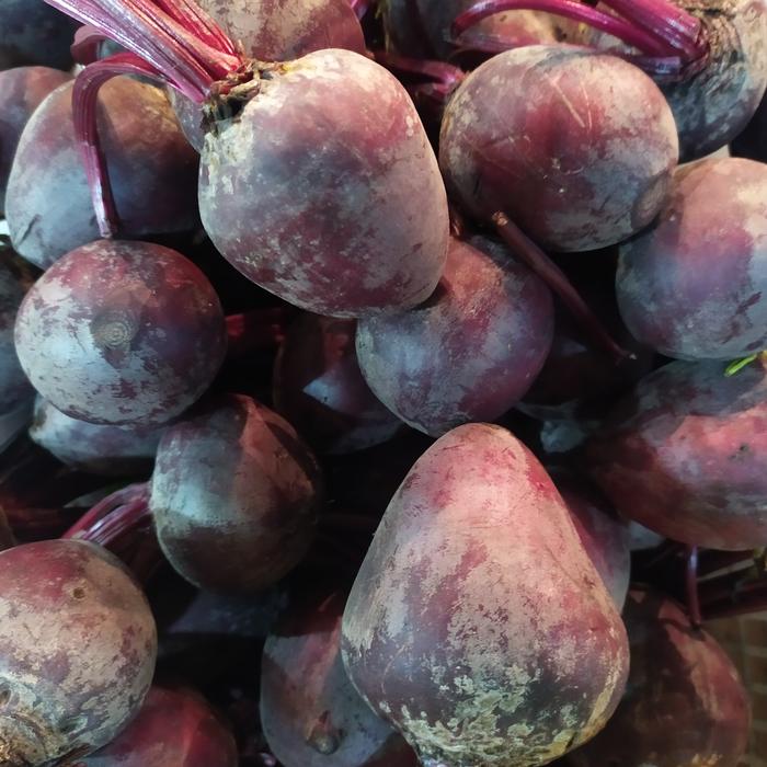 Jual buah bit 1 kg - Jakarta Pusat - Pak Sayur | Tokopedia