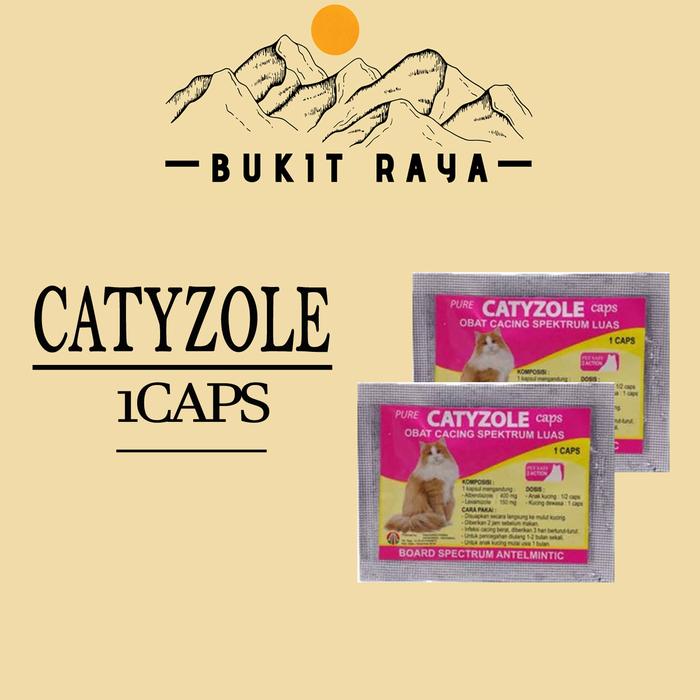 Jual CatyZole Caps Obat Cacing Kucing Spektrum Luas Infeksi Cacing ...