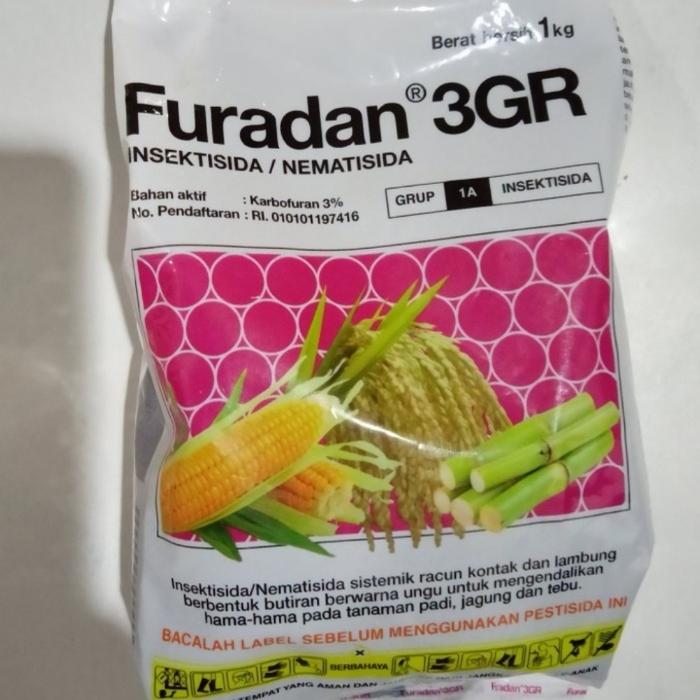 Jual furadan 3gr obat pembasmi rayap tanah, hama, semut 1kg - Jakarta ...