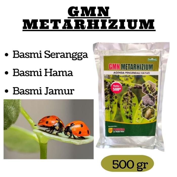 Jual Pengendali Hama Pertanian dan Perkebunan, Metarhizium Anisopliae ...
