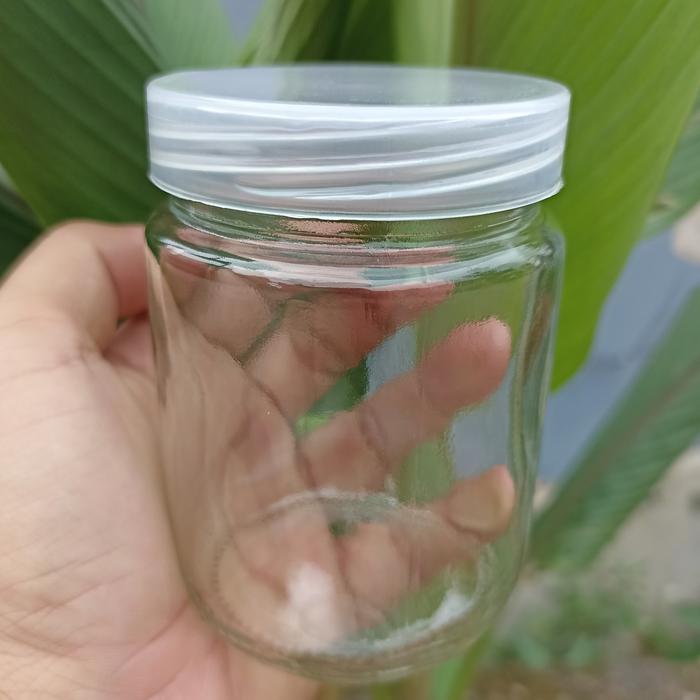 Jual BOTOL MEDIA TANAM KULTUR JARINGAN 250 ML TUTUP PP AUTOCLAVE - Kab ...