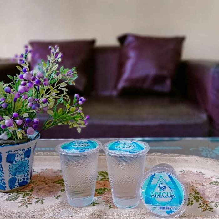 Jual AiniQua Mineral Water kemasan Cup/gelas. - Kota Medan - Asri ...
