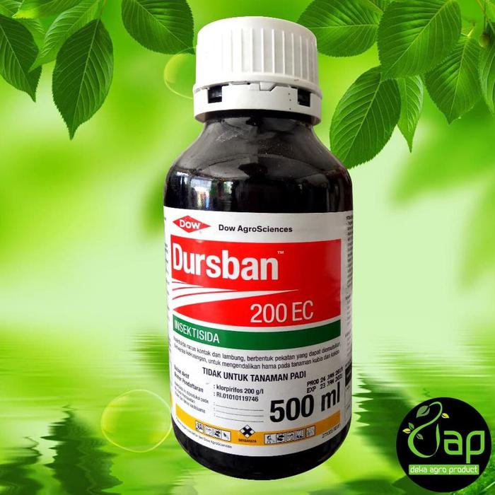 Jual INSEKTISIDA DURSBAN 200 EC 500ML - Kota Yogyakarta - Berkah ...