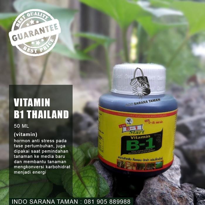 Jual B1 THAILAND 50ml Vitamin Tanaman Obat Anti Stres Tanaman Pupuk ...
