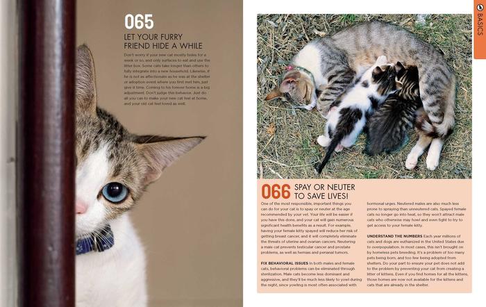 Jual The Total Cat Manual - Original Book - Buku Panduan Memelihara ...