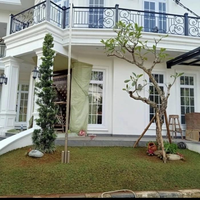 Jual pembuatan taman model minimalis simple - Kota Serang ...