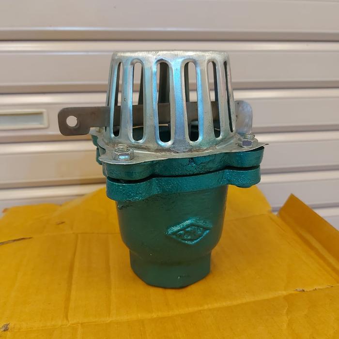 Jual Foot valve Mizu 11/2" Dn 40 drat Foot Klep cast iron - Jakarta ...