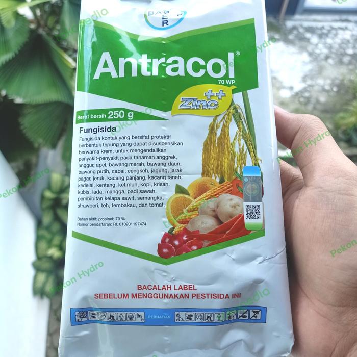 Jual Fungisida Antracol 70 WP 250 gram Kemasan Pabrik - Kota Bandar ...
