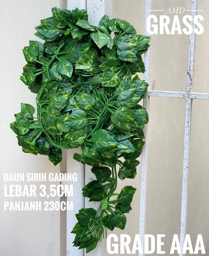 Jual Daun Rambat Plastik Artificial Lebar 3-4cm Murah - Sirih Gading ...