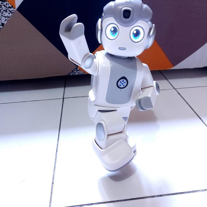 Jual Robot Edukasi Alpha Mini Coding Kids AI Humanoid Ubtech Ubtrobot ...