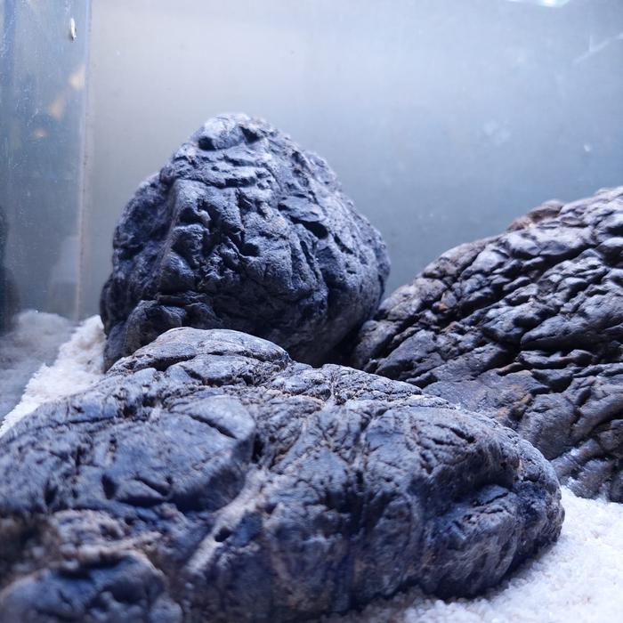 Jual TURLY STONE BATU LOKAL AQUASCAPE GRADE AAA - Jakarta Selatan ...