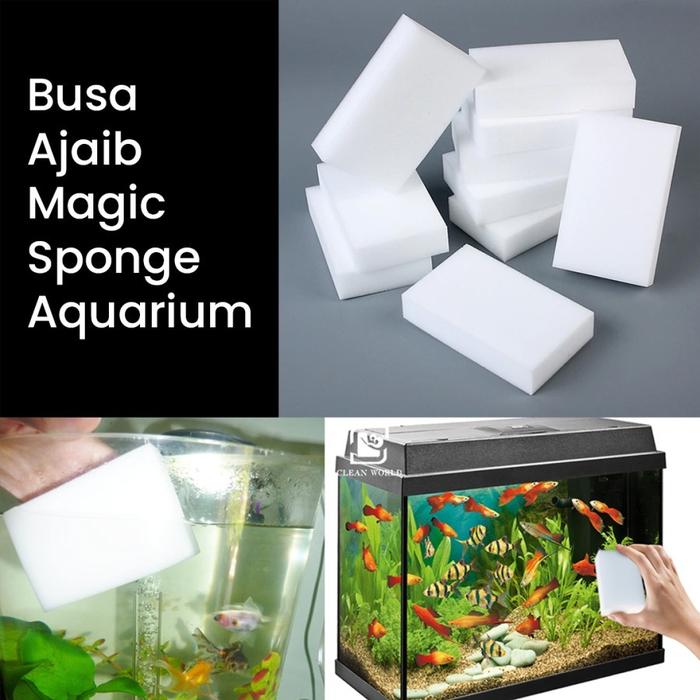 Jual Spon Pembersih Kaca Kerak Lumut Jamur Aquarium Aquascape - Busa ...