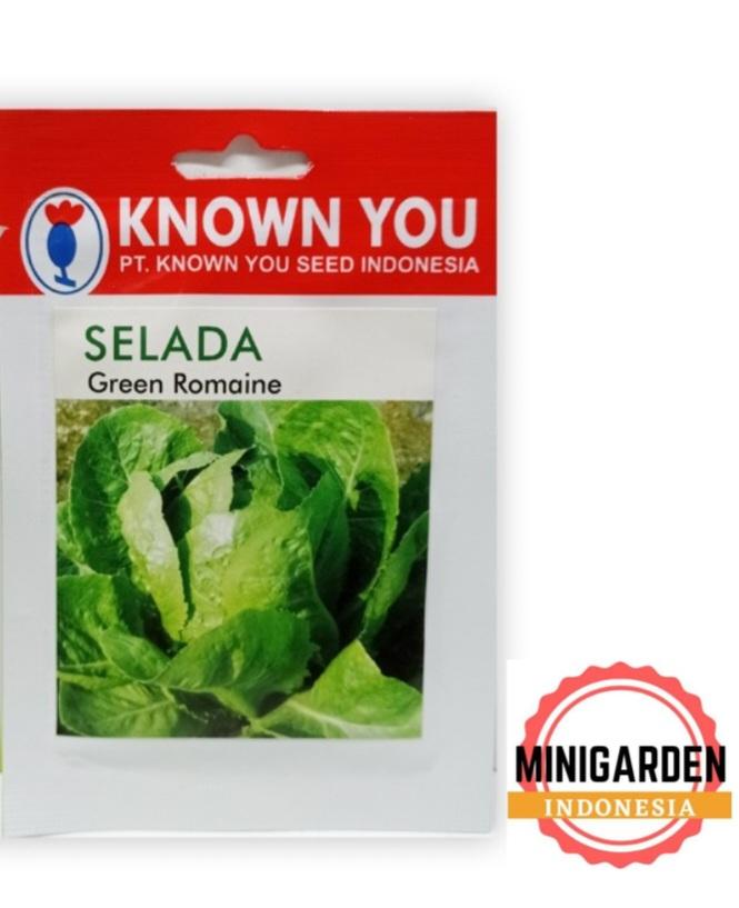 Jual SELADA GREEN ROMAINE 5 GRAM PACK KECIL Benih SELADA Hijau Known you - Kota Semarang ...