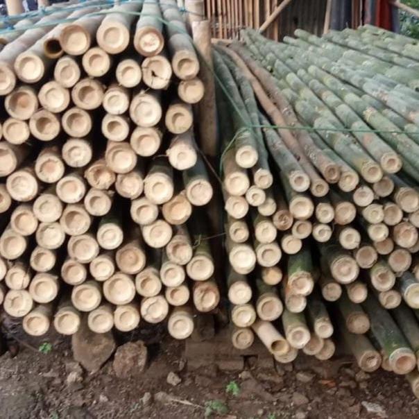 Jual Bambu Kecil Panjang 6 Meter - Kota Depok - TB Fransia Jaya | Tokopedia