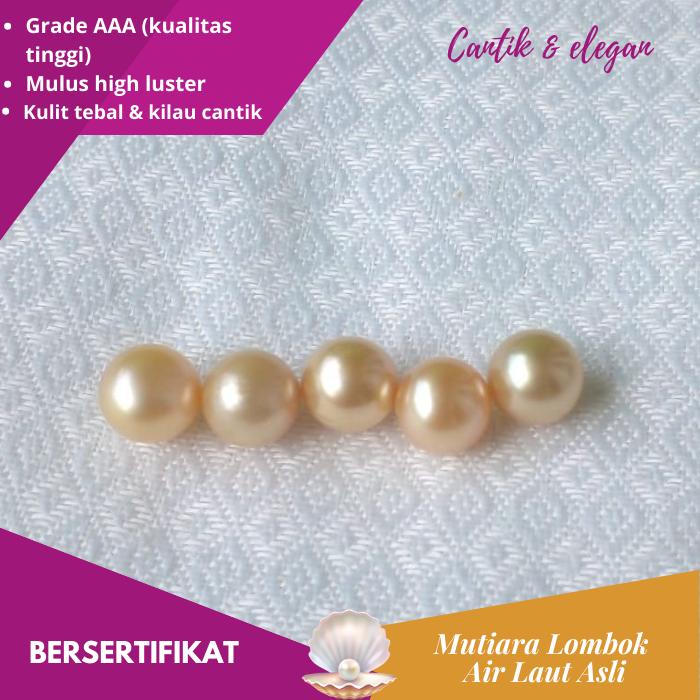 Jual Mutiara Lombok Air Laut Asli Gold Grade AAA Bersertifikat MLL012 ...