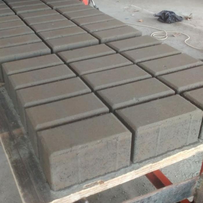 Jual Paving Block Hidrolik Conblock Beton Kanstin Taman (SNI) - Bata ...