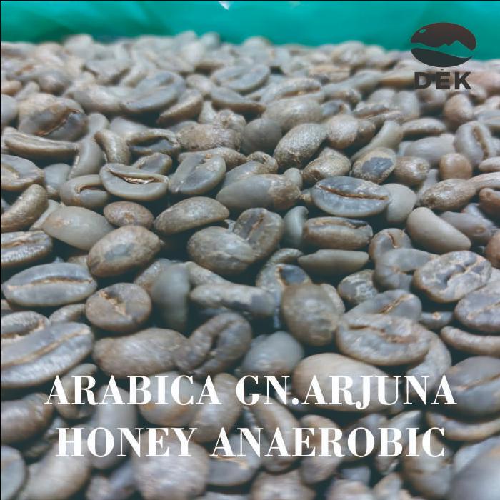 Jual Green Bean Kopi Arabica Gunung Arjuno Honey Anaerob 1 Kg - Kab ...