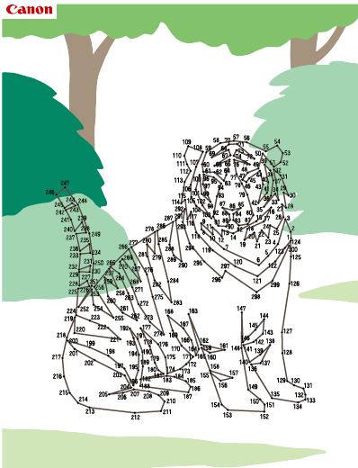 Jual Dot to Dot Endangered Animals Set papercraft - Kab. Bekasi ...