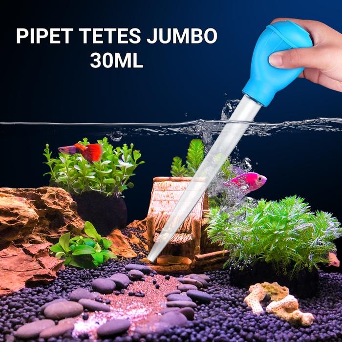 Jual PIPET TETES BESAR 30ml / PIPET TETES JUMBO / FEEDING / SEDOT ...