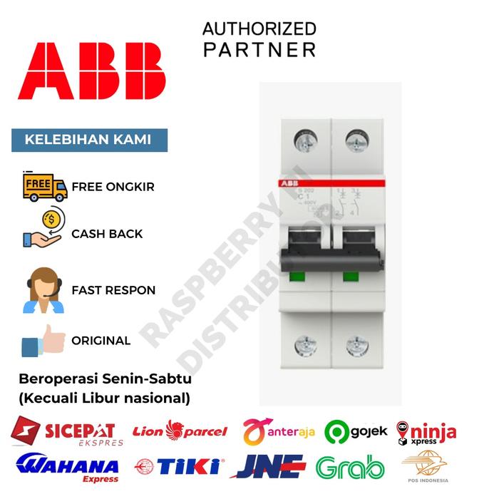 Jual ABB MCB 2Pole 10kA 1A S 202 - C1 2CDS252001R0014 - Jakarta Barat - Raspberry Pi Distributor ...