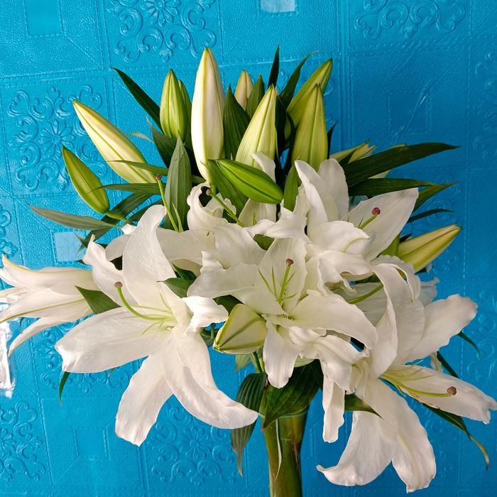 Jual bunga lily putih asli fresh - Jakarta Selatan - florist juanda ...