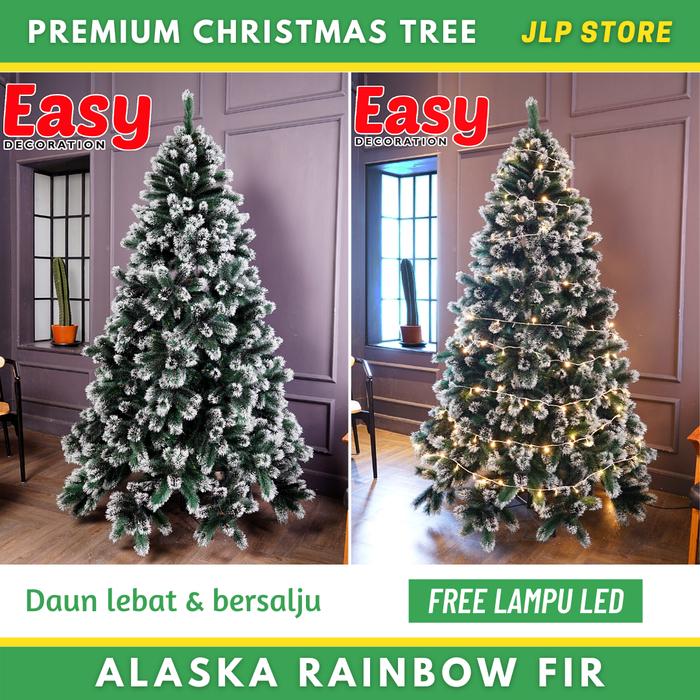 Promo Pohon Natal 1 Meter / 1.2m 120Cm 4Ft ALASKA RAINBOW FIR CHRISTMAS ...