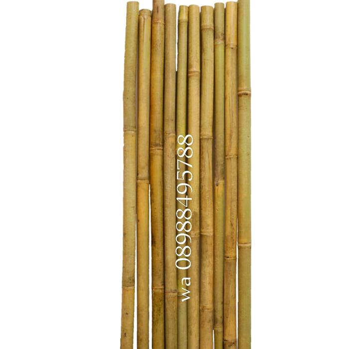 Jual PATOK BAMBU UNTUK TIANG BENDERA - Kota Depok - ladang tanaman ...