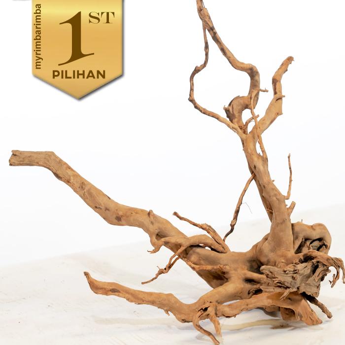 Jual Kayu Akar Rasamala XXL Hiasan Aquarium Ikan Hias Aquascape Tanaman ...