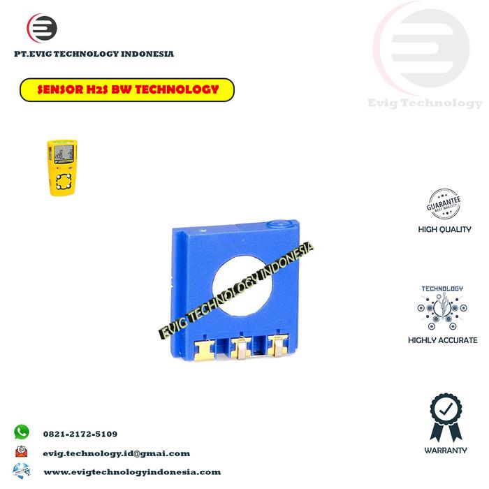 Jual Hydrogen Sulfide (H2S) Sensor for GasAlert MicroClip & Max XT II ...