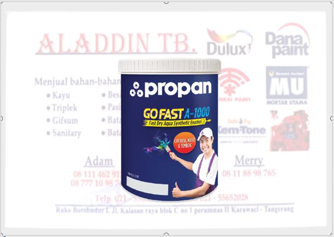 Jual Cat kayu besi propan GoFast/ go fast water base PUTIH gloss 0.9L 0 ...