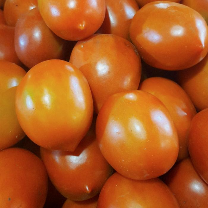 Jual tomat merah besar 1 kg - Jakarta Pusat - Pak Sayur | Tokopedia
