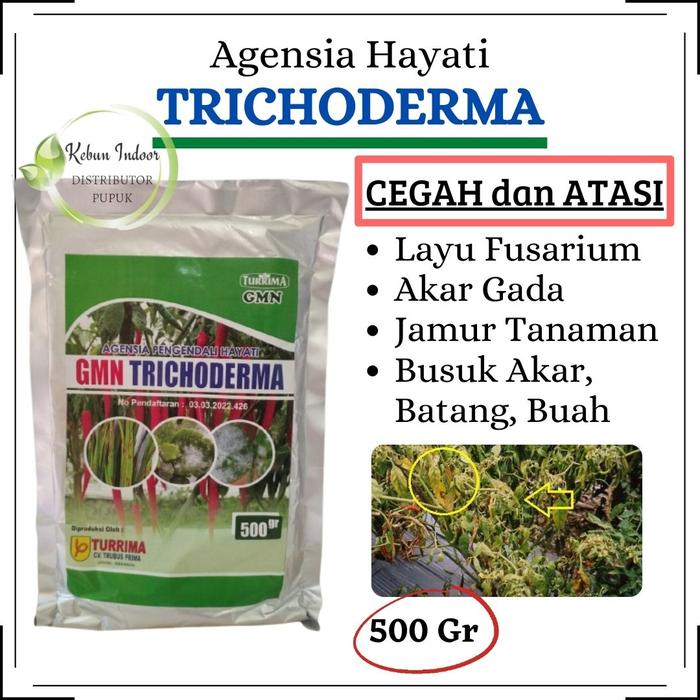Jual Trichoderma Cegah Ganoderma Sawit, Obat Jamur Pada Kelapa Sawit ...
