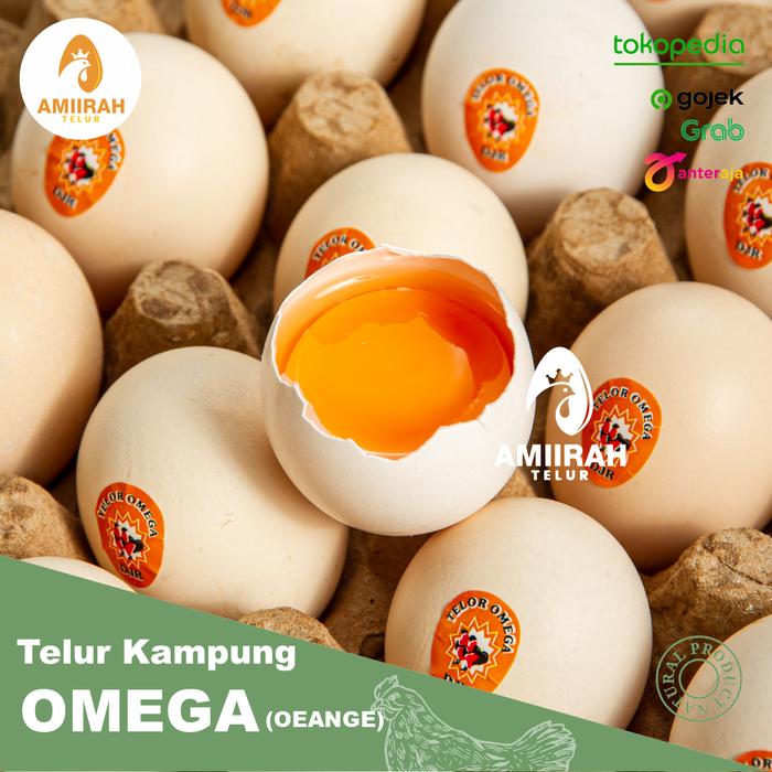 Jual Telur Ayam Kampung omega 3/ Kampung Merah Cap DJR per Butir ...