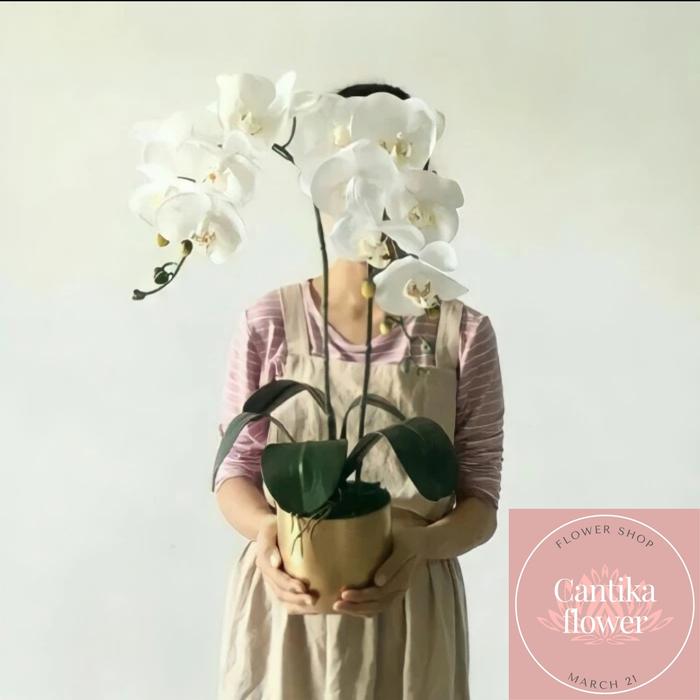 Jual Anggrek Bulan + Pot Vas / Rangkaian 2 Tangkai Anggrek Bulan Asli ...