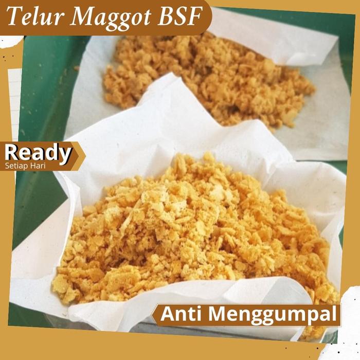 Jual TERBARU Telur Bsf Maggot Magot Lalat Bsf Super 1 Gram - Jakarta ... Jual TERBARU Telur Bsf Maggot Magot Lalat Bsf Super 1 Gram - Jakarta ...
